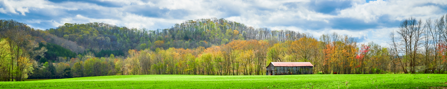 KENTUCKY BOARD OF SPEECH-LANGUAGE PATHOLOGY & AUDIOLOGY